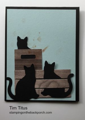 13 Quick & Easy Cat Cards!