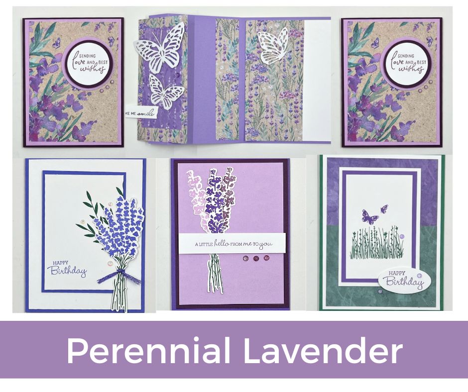Perennial Lavender Tutorial — KarenTitus.com